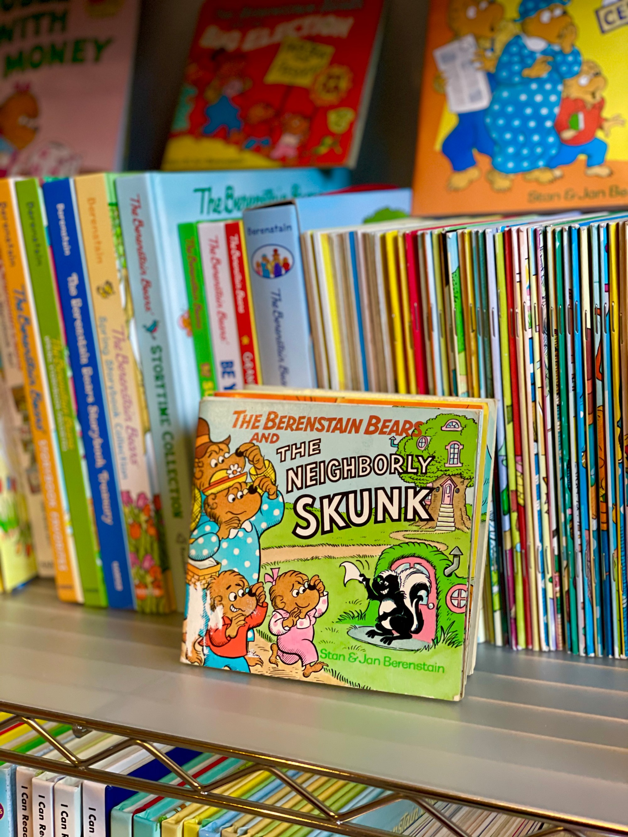 The 20 Most Rare/Unusual Berenstain Bears Books … EVER! – Berenstain ...
